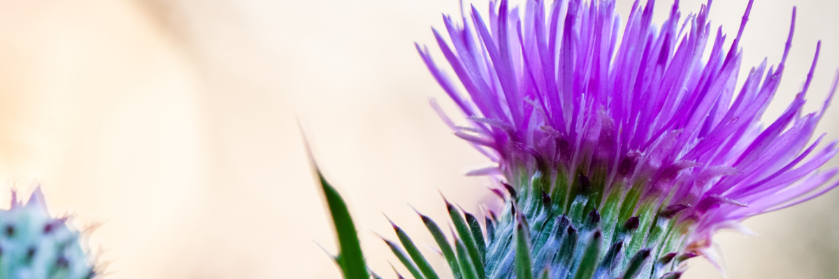 Shop Hair Care | Power Build | OCS Professional