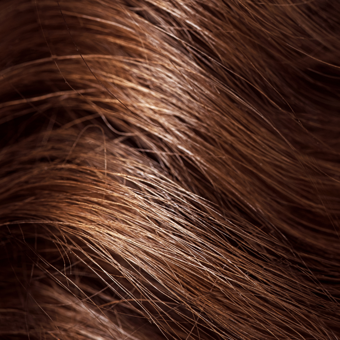 Permanent Colour | OCS Salon Professional